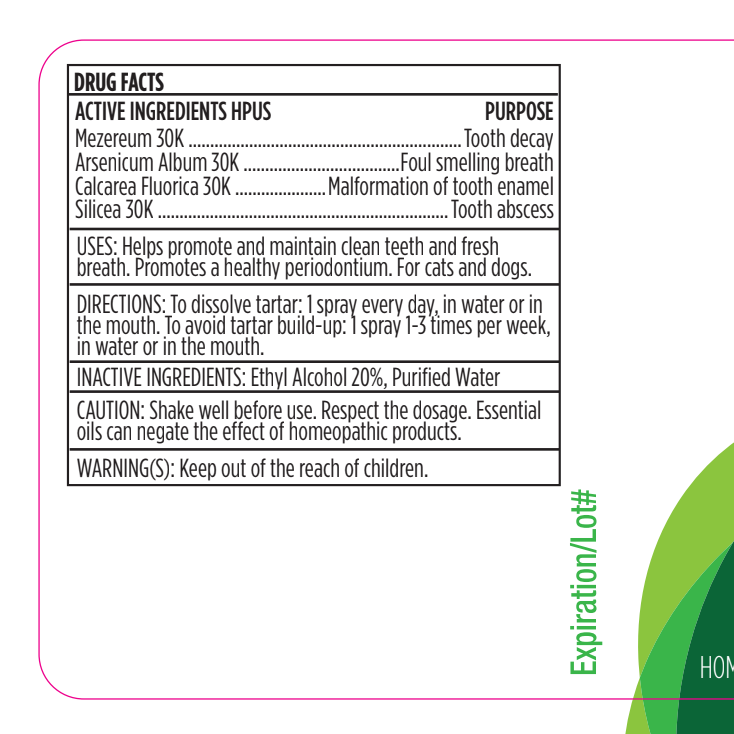 Natural Tartar Remedy for Dogs, Cats and other Animals - Zumalka