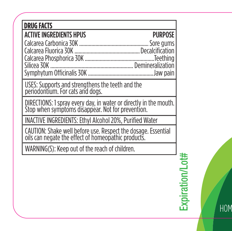 Orapet: Natural Dental Care for Pets - Trusted Support for Oral Health ...